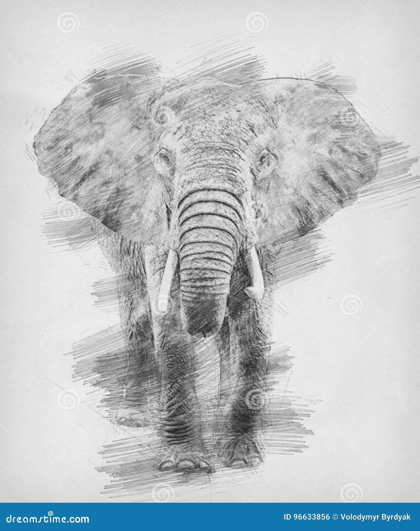 Olifant Schets met potlood stock illustratie. Illustration of dier ...