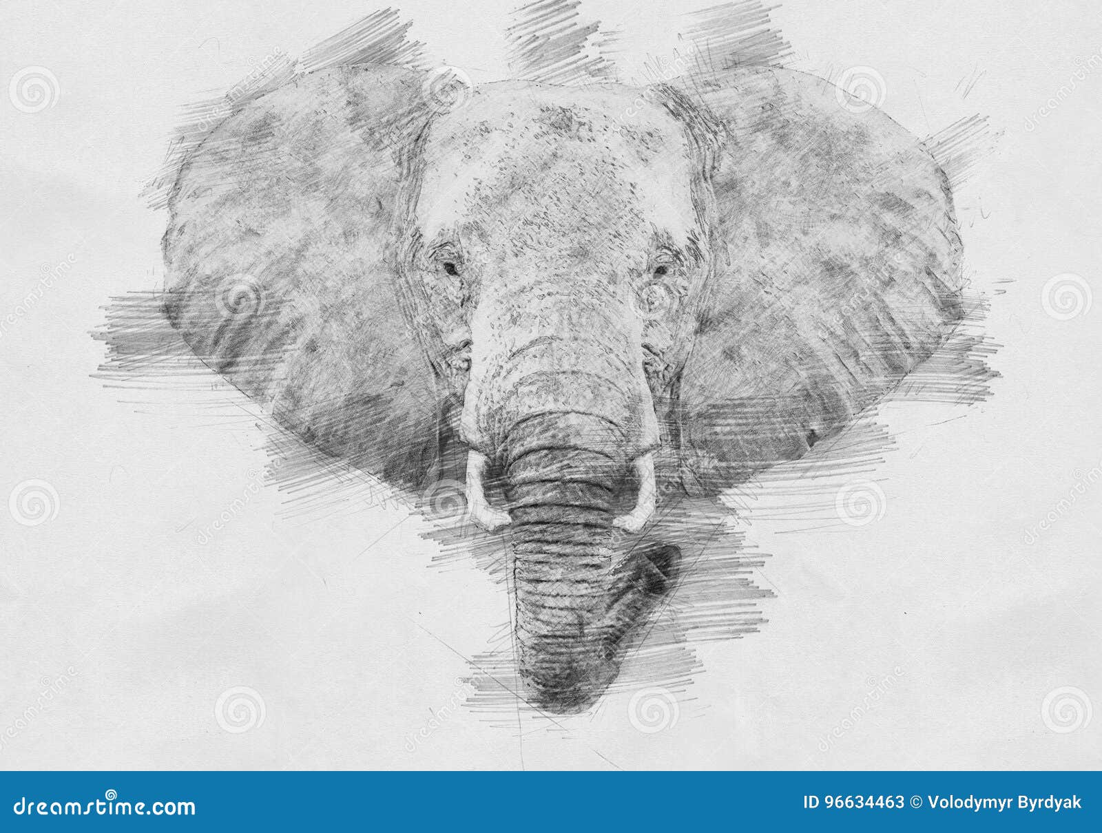 Olifant Schets met potlood stock illustratie. Illustration of ...
