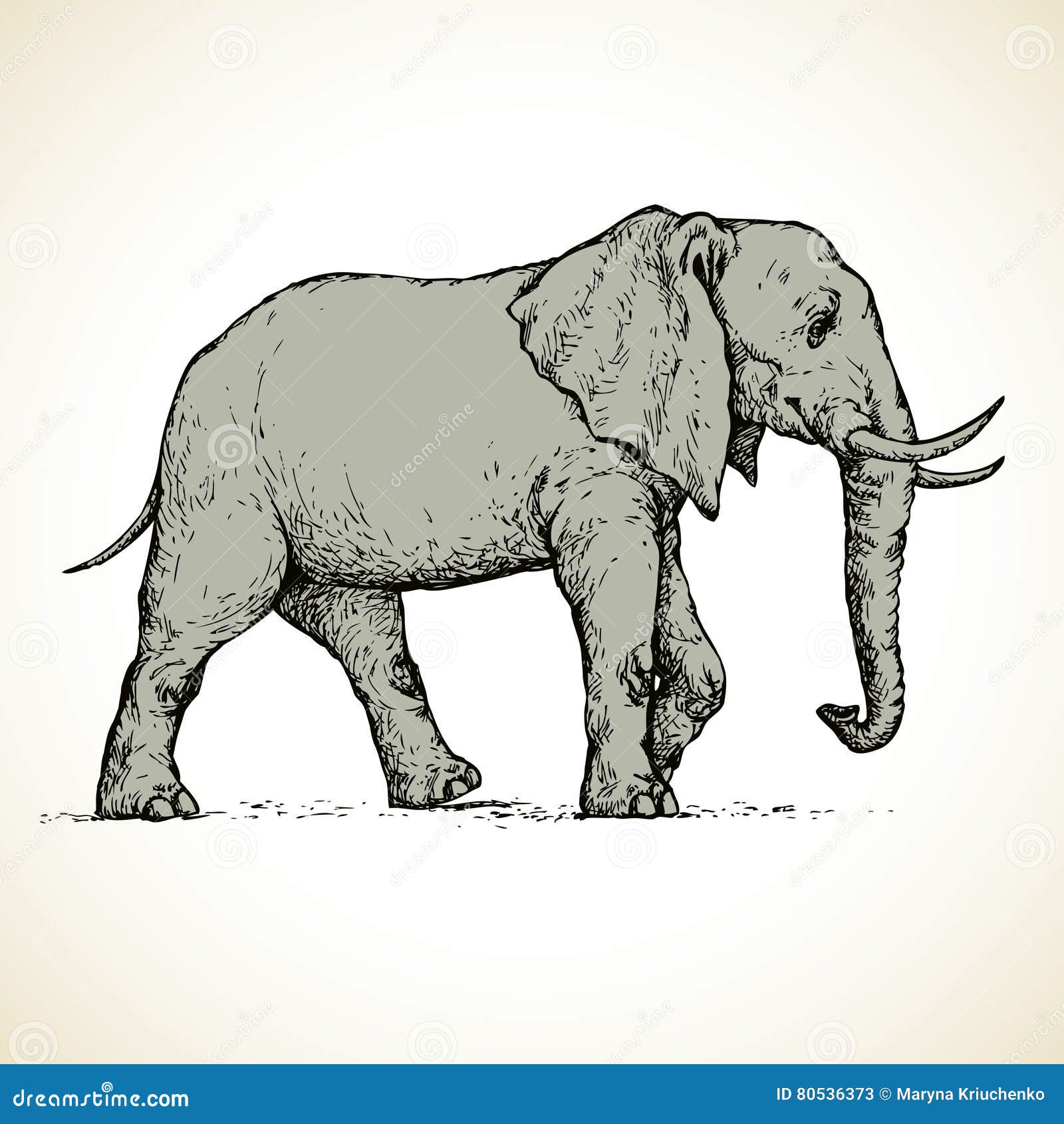 Olifant Vector tekening stock illustratie. Illustration of illustratie ...