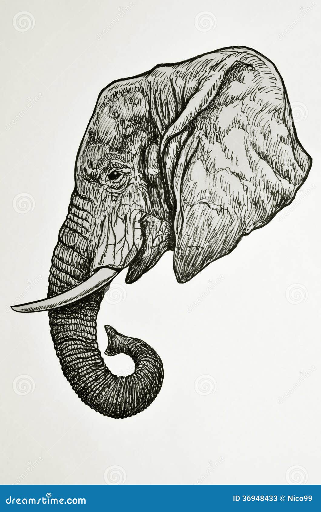 Olifants hoofd zijaanzicht stock illustratie. Illustration of tekening ...