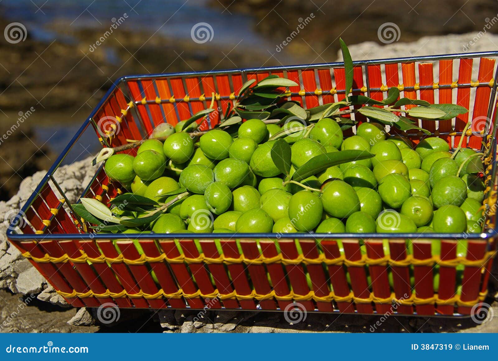 Olijf 22 stock afbeelding. Image of dieet, markt, stapel - 3847319