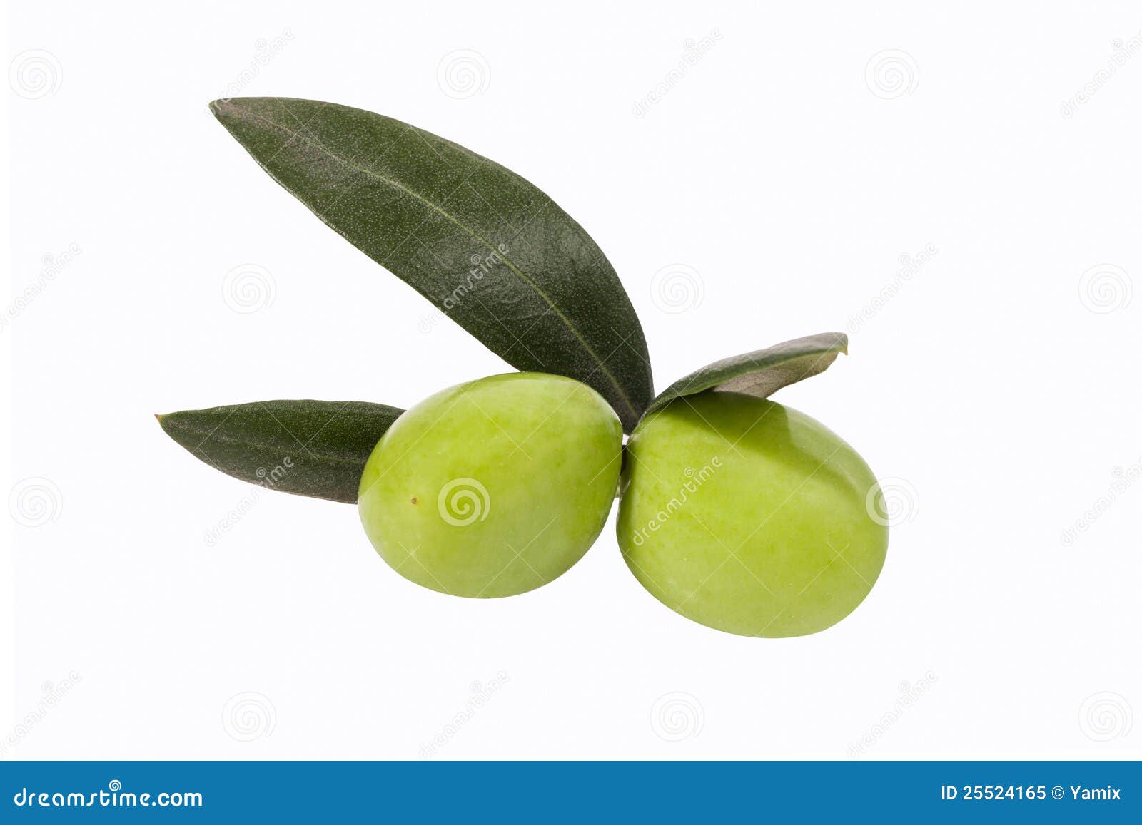 Olijf stock afbeelding. Image of vrucht, geïsoleerd, keuken - 25524165