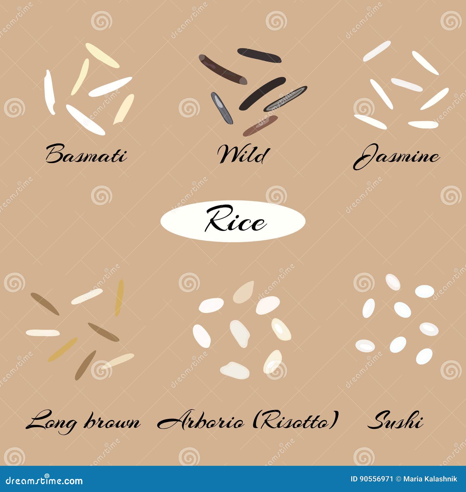 Olika typer av rice vektor illustrationer. Illustration av ingrediens ...