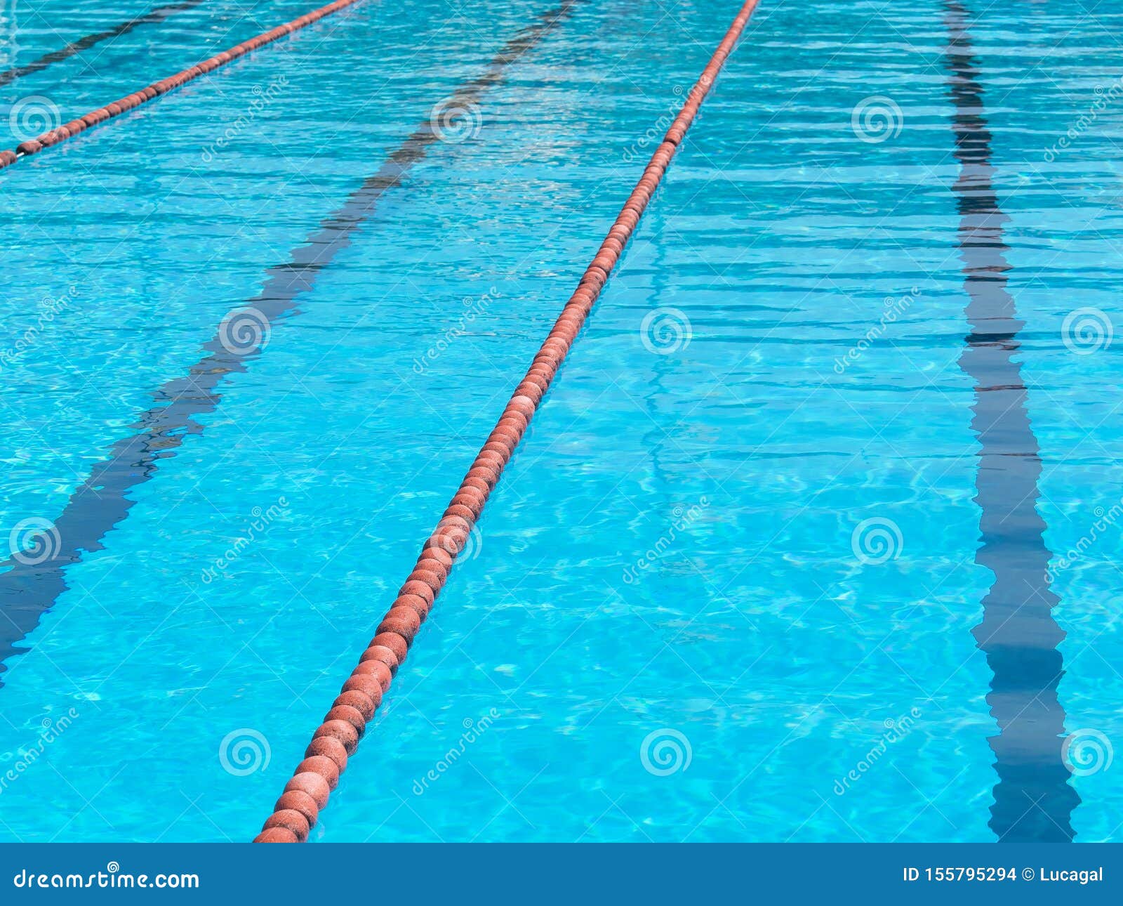 Olimpic Swimming Pool Orange Float Cork Marking Line Stock Photo ...