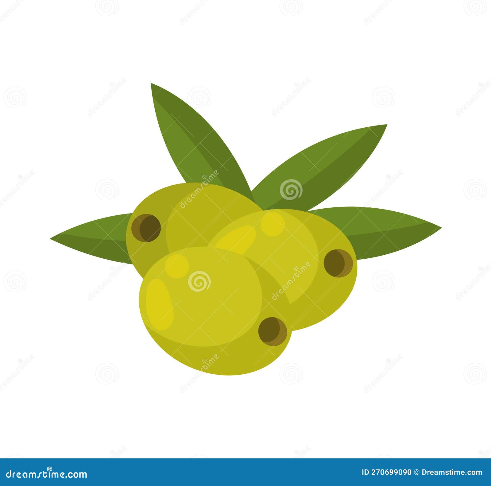 Olive beans and leaf stock vector. Illustration of cooking - 270699090