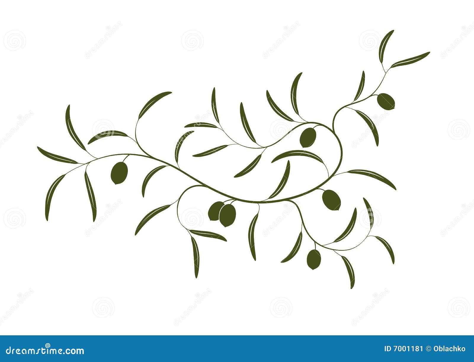 Olive branch stock vector. Illustration of curve, nature - 7001181