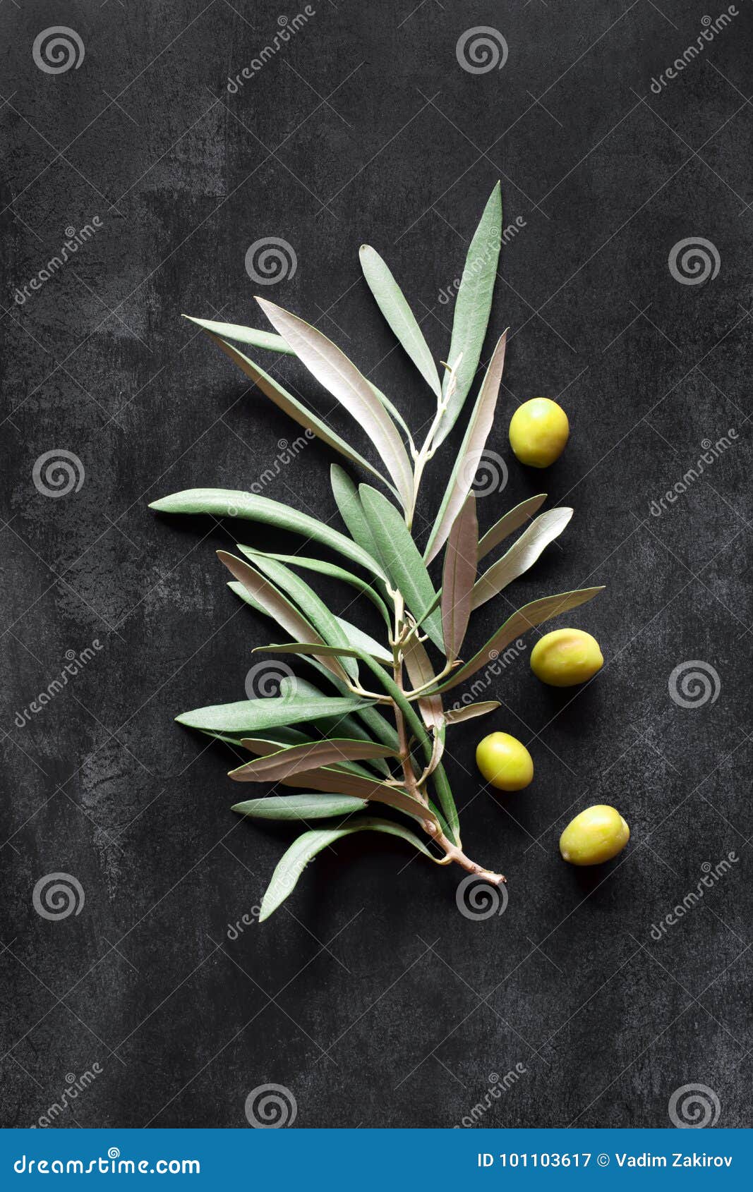 Olive Branch on a Background Stock Image - Image of natural, healthy ...