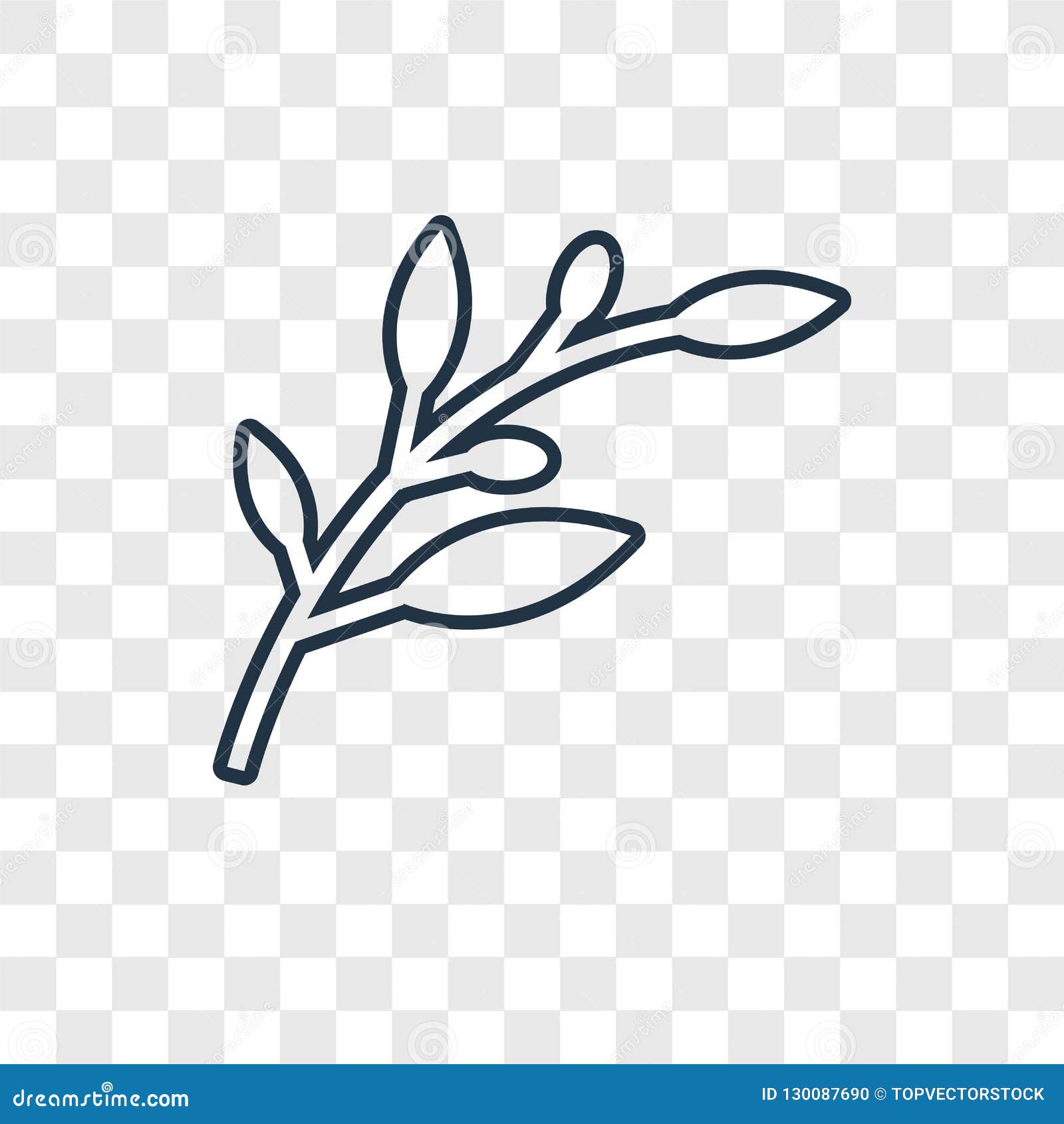 Olive Branch Concept Vector Linear Icon Isolated on Transparent Stock ...