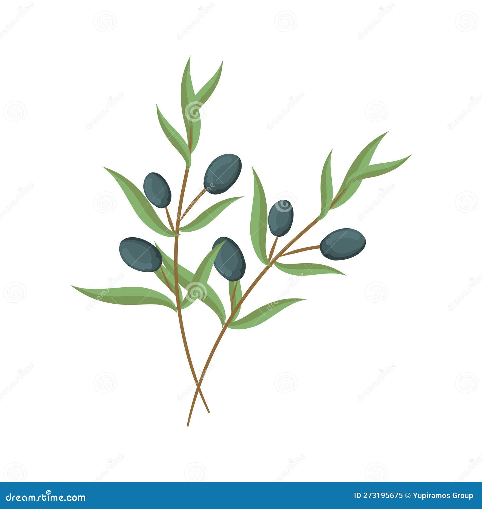 Olive branch design stock vector. Illustration of mediterranean - 273195675