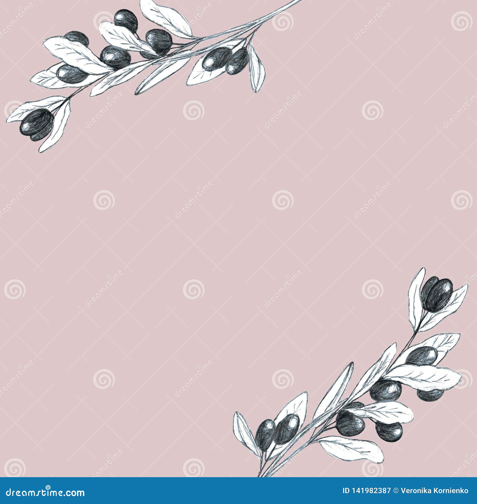 Olive Branch Frame Pink Card Stock Illustration - Illustration of food ...