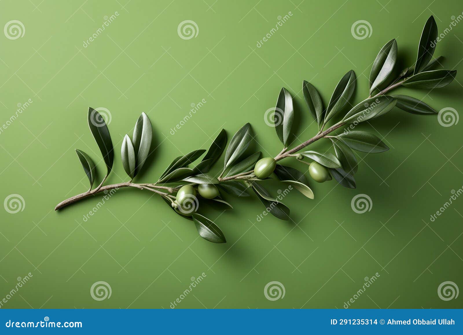Olive Branch on a Green Background. Generative by Ai Stock Photo ...