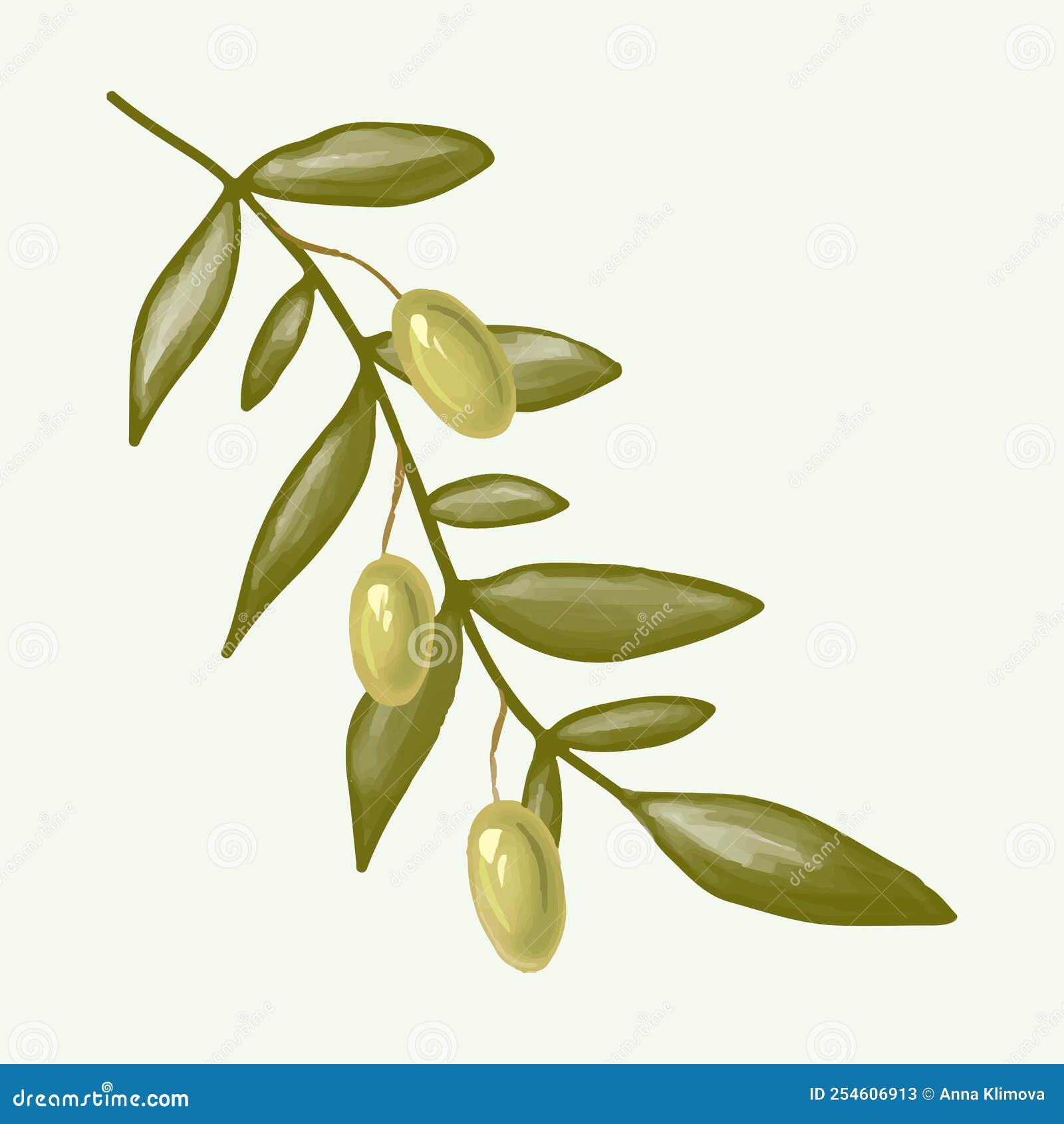 Olive Branch Hand Drawn Isolated on Background Stock Vector ...