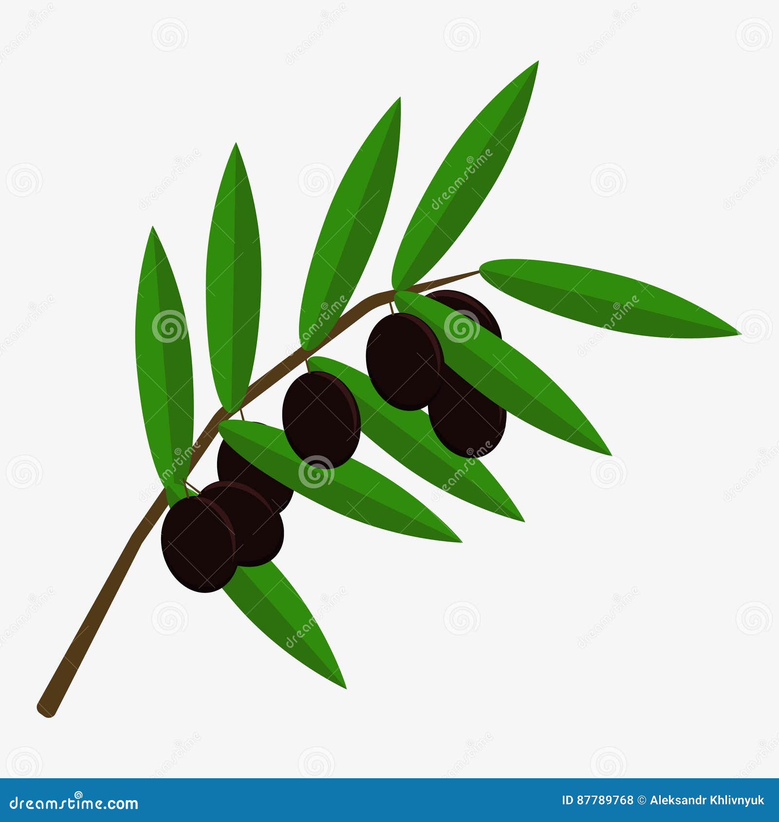 Olive branch icon stock illustration. Illustration of evergreen - 87789768