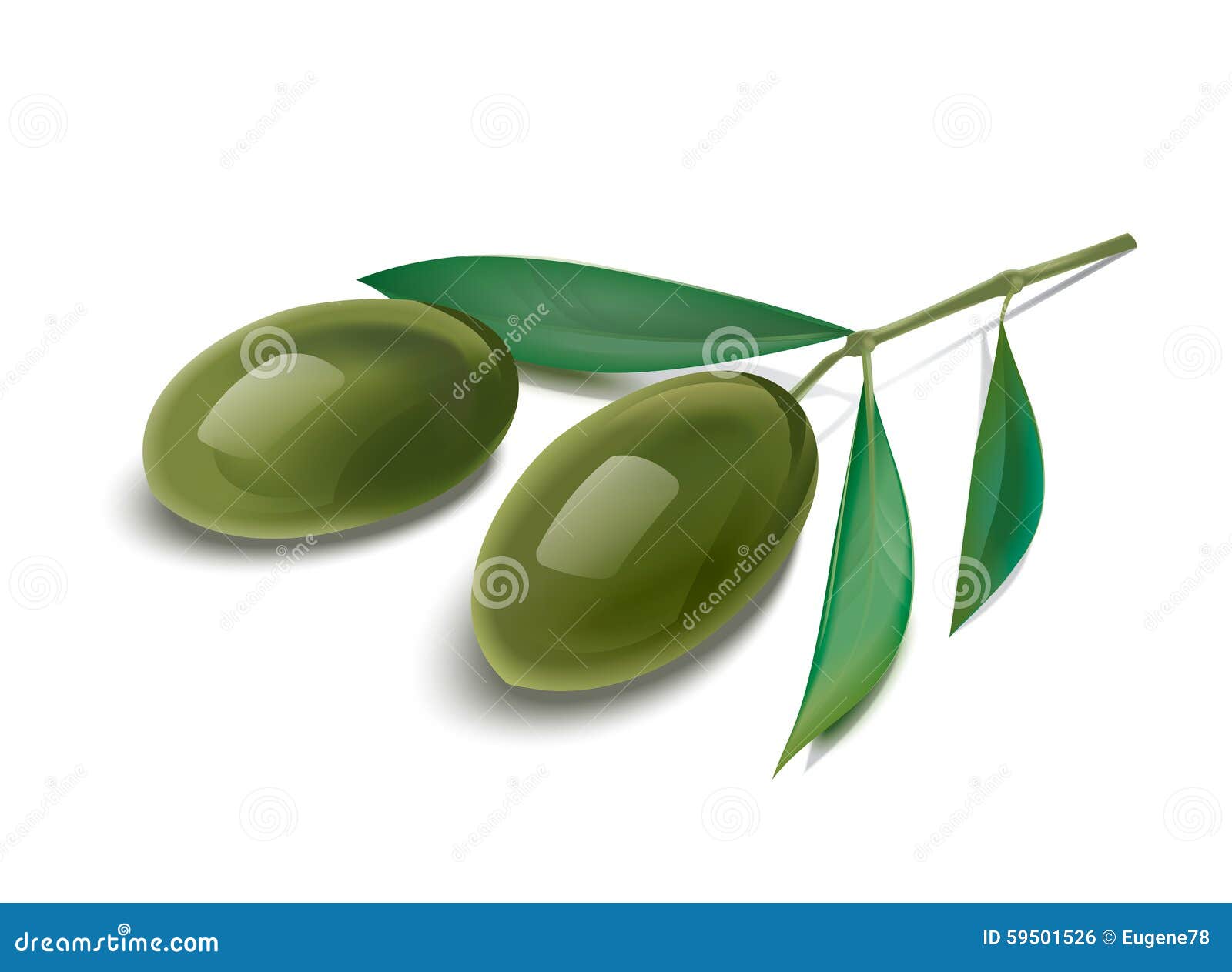 Olive branch Illustration stock vector. Illustration of culture - 59501526