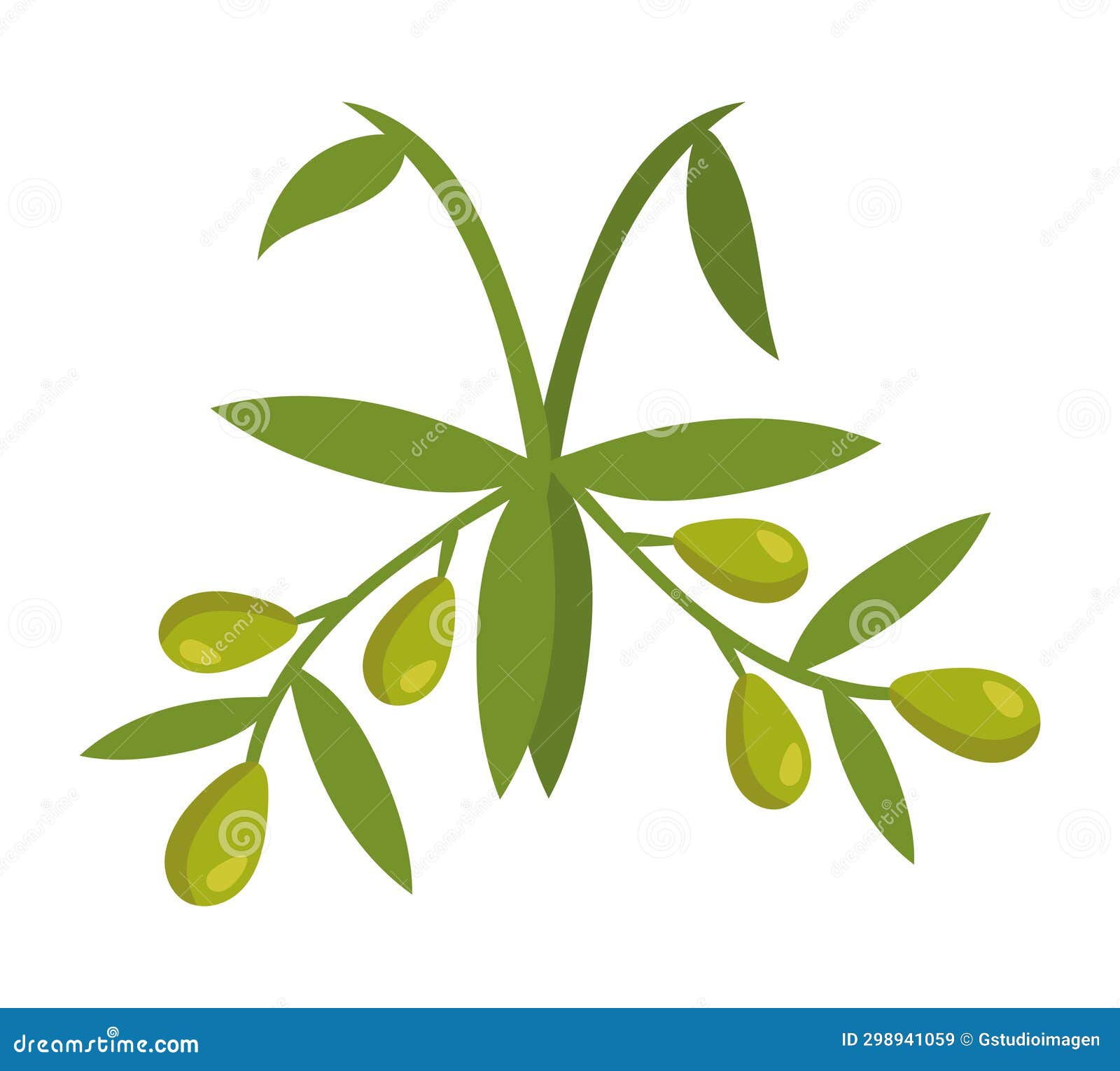 Olive branch illustration stock vector. Illustration of herb - 298941059