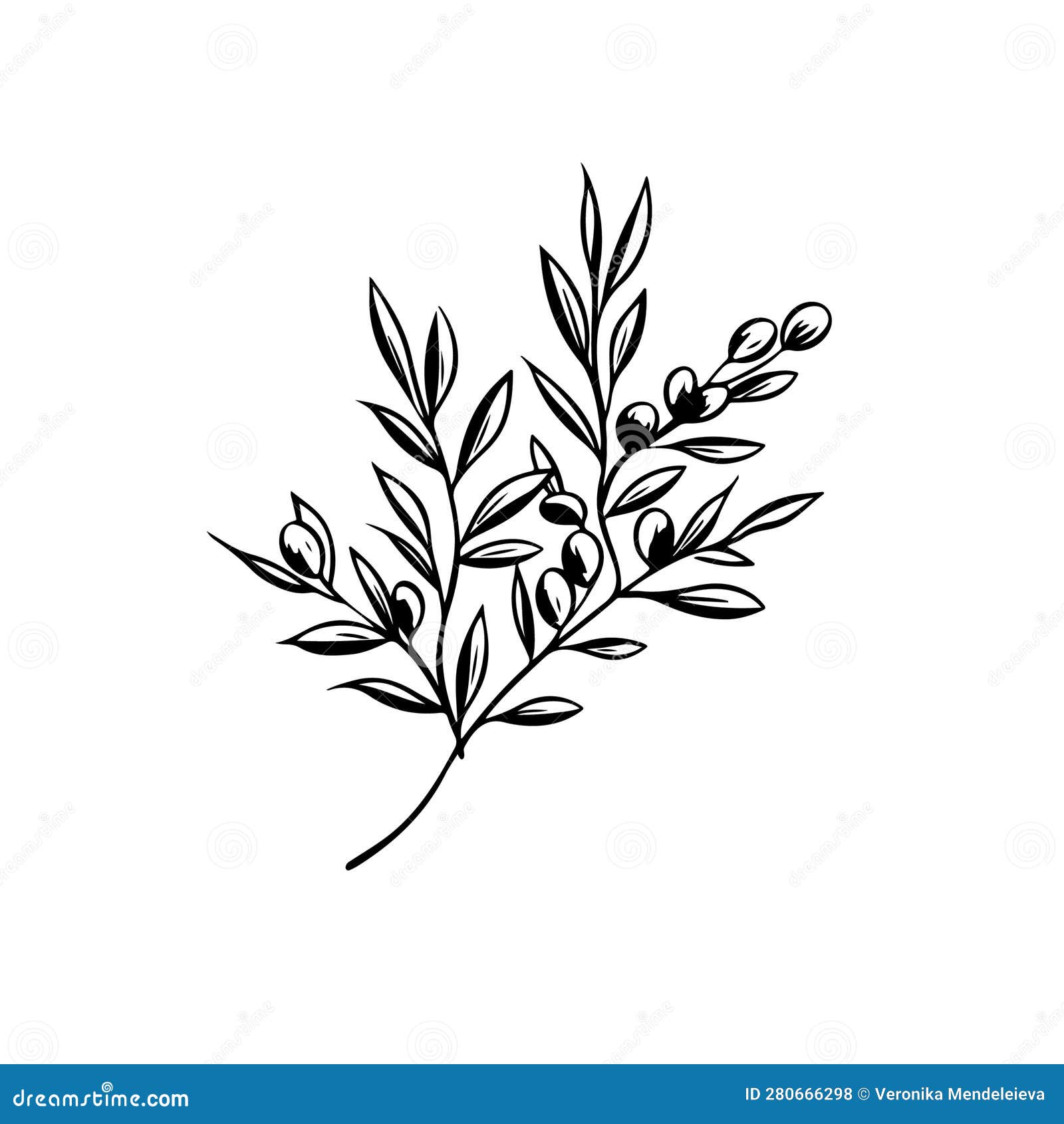 Olive Branch Line Illustration for Your Design Stock Illustration ...