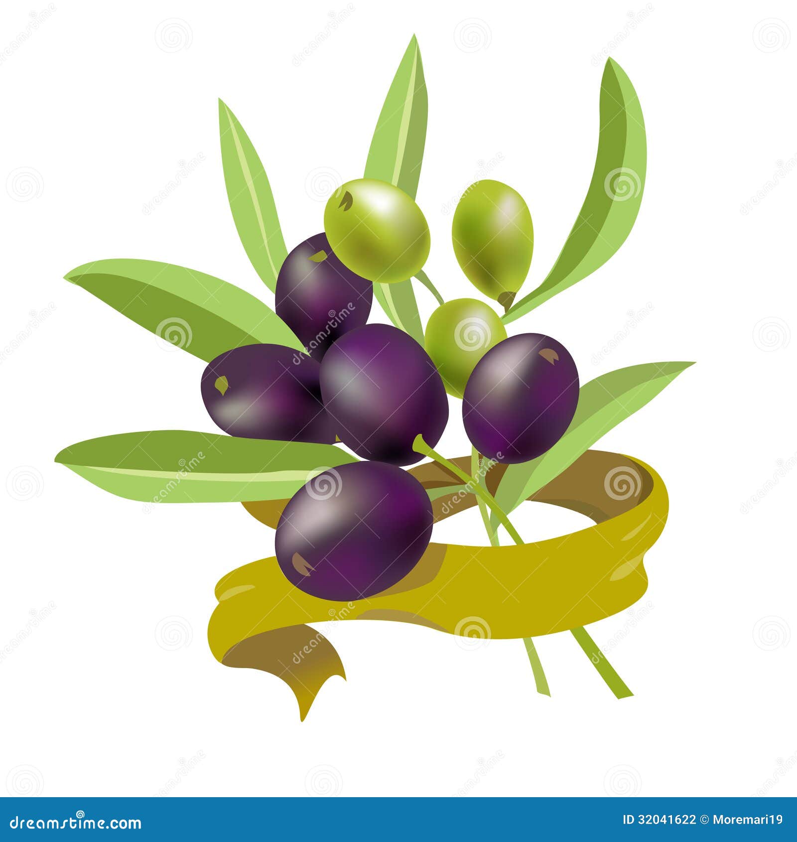 Olive branch with ribbon stock vector. Illustration of olive - 32041622
