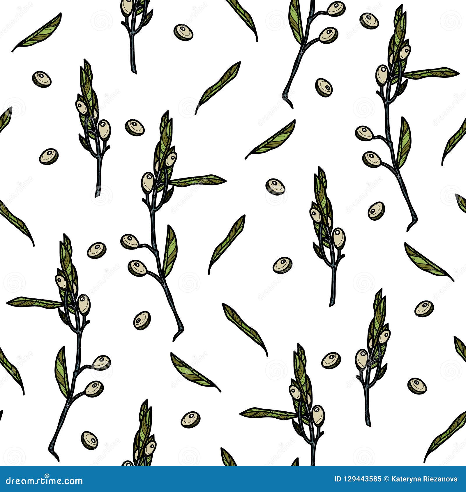 Olive Branch Seamless Pattern on White Background. Stock Vector ...