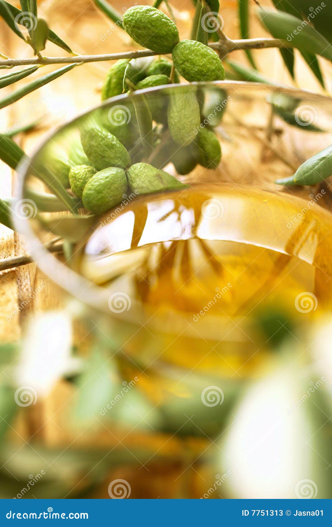 Olive branches stock image. Image of peace, close, grow - 7751313