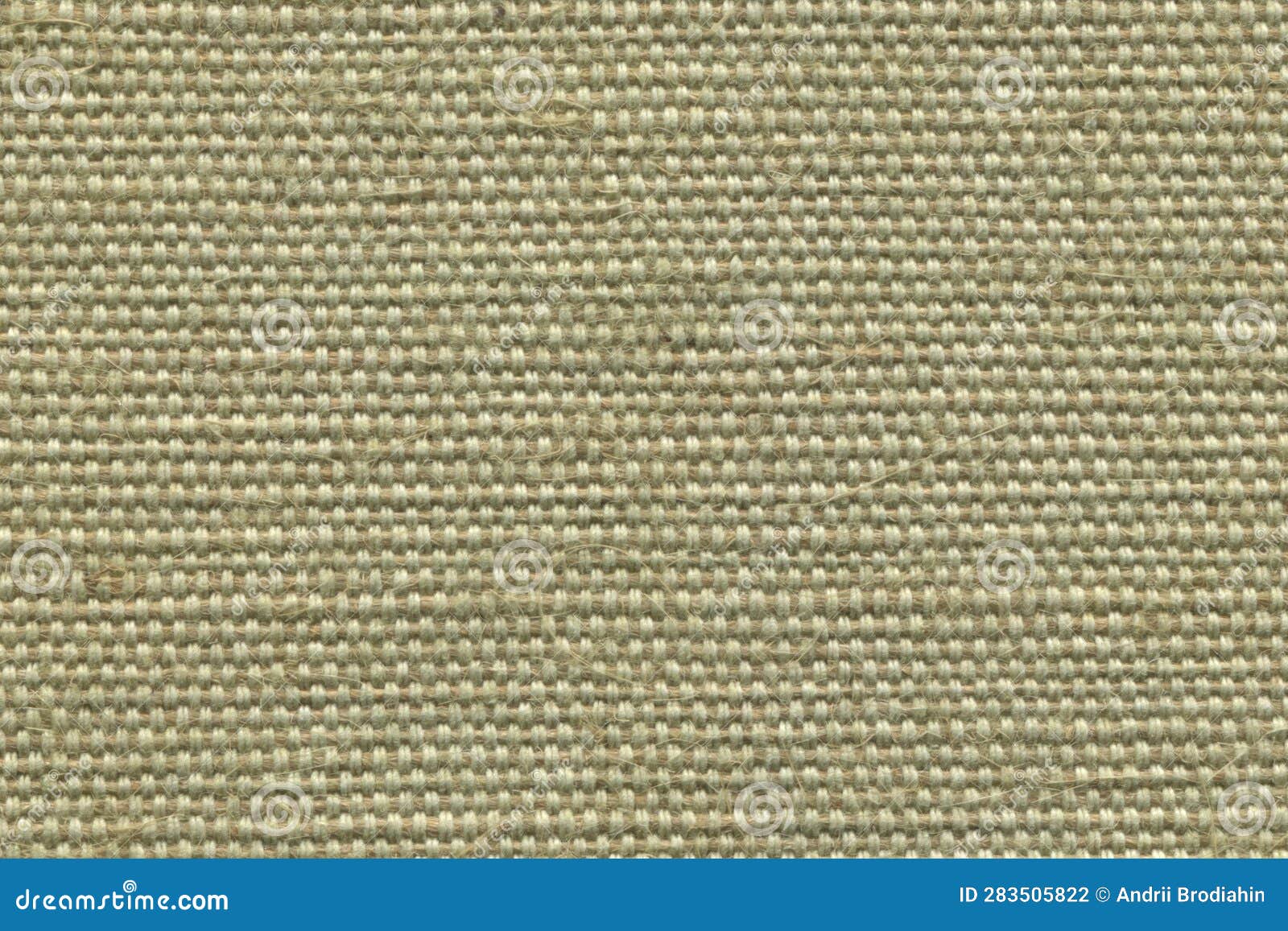 Olive Cotton Canvas. Texture. High Resolution Stock Photo - Image of ...