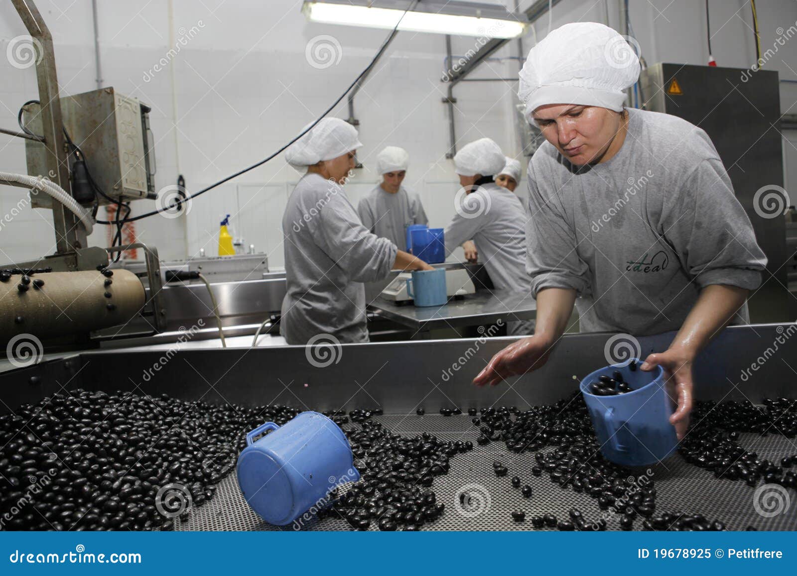 Olive factory editorial image. Image of worker, olive - 19678925