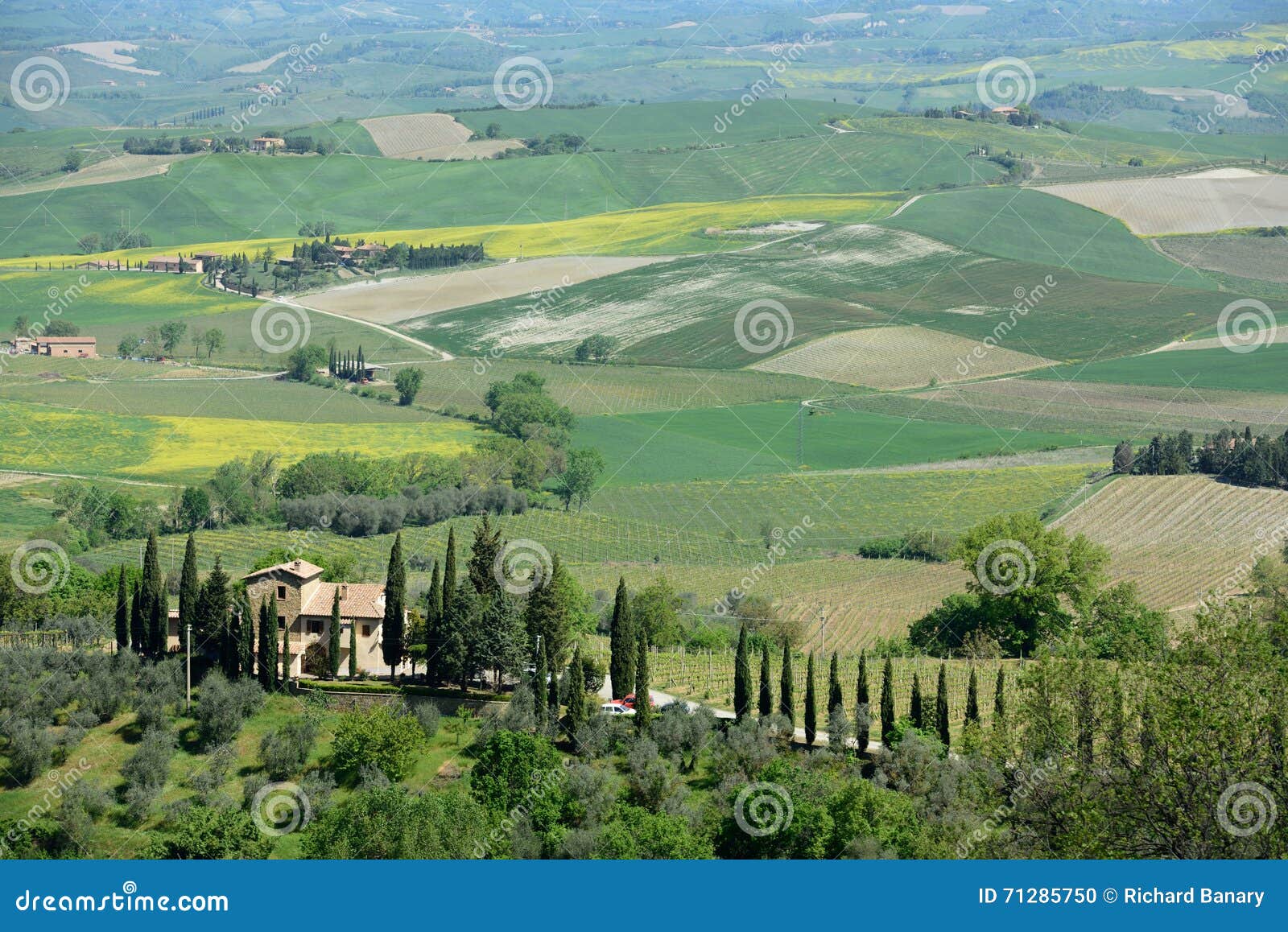 Tuscan Landscape stock photo. Image of nature, cypresses - 71285750