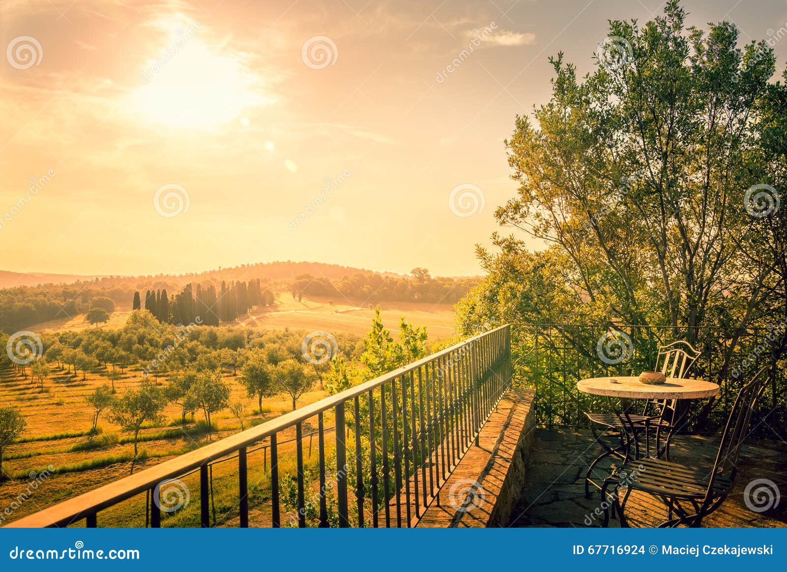 298 Balcony Olive Tree Stock Photos - Free & Royalty-Free Stock Photos ...