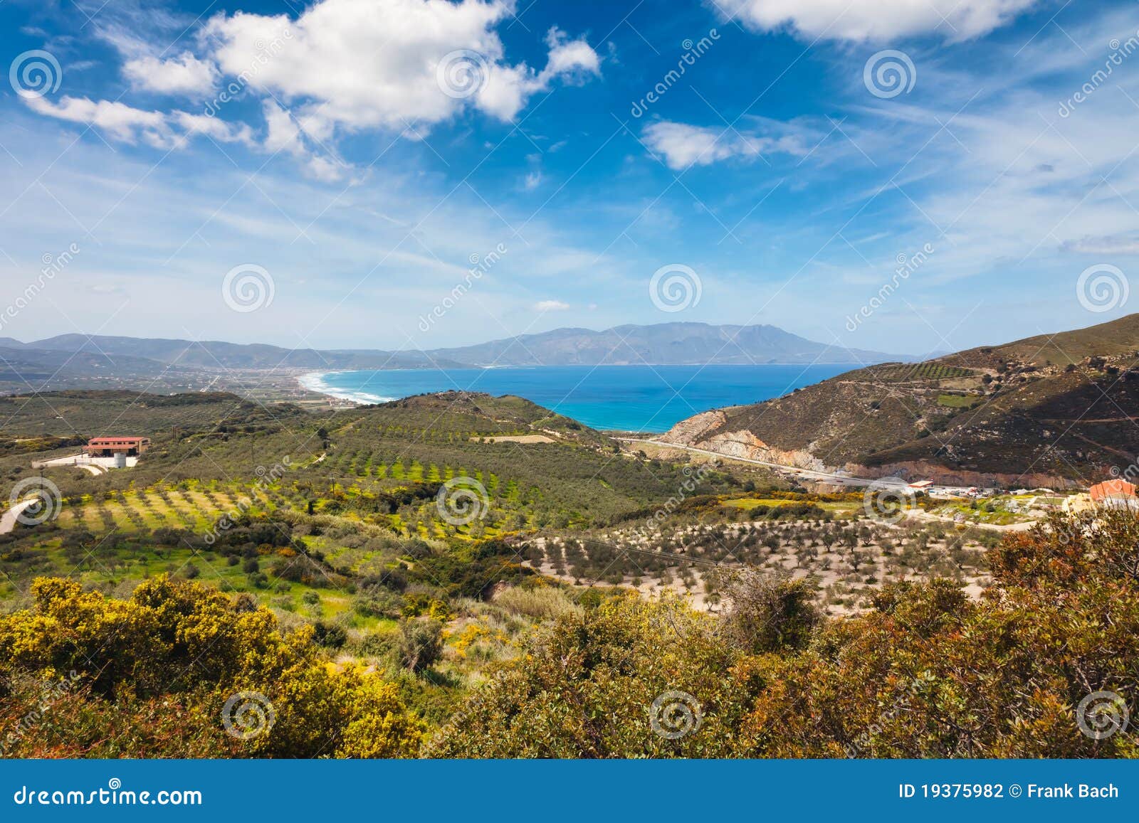 Olive Fields Near the Mediterranian Stock Photo - Image of rural ...
