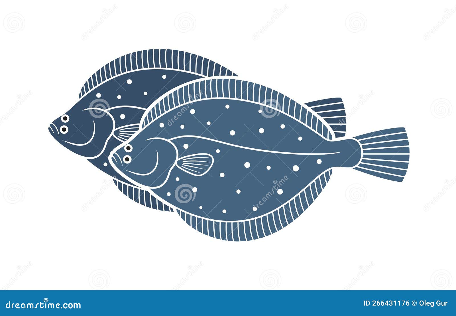 Olive Flounder Outline. Isolated Flounder On White Background Cartoon ...