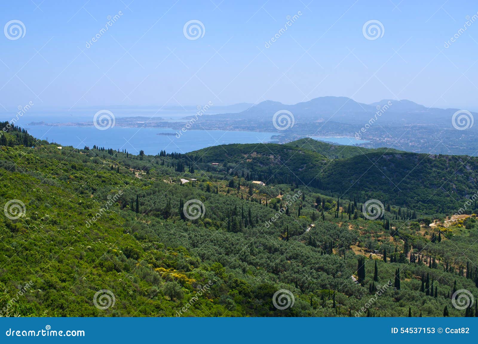 Olive Forest on Corfu Island, Greece Stock Image - Image of corfu ...