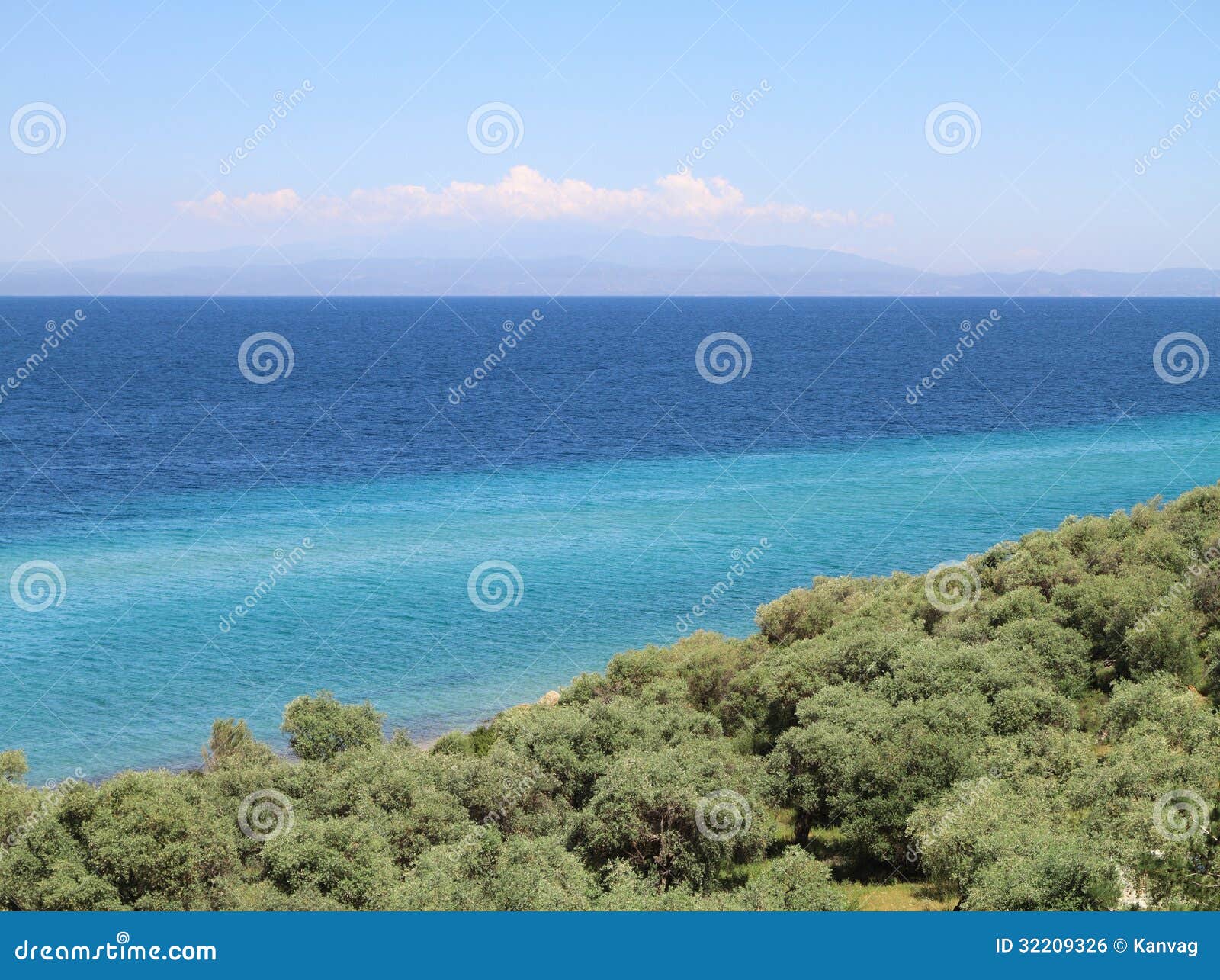 Olive groove by the sea stock photo. Image of mediterranean - 32209326