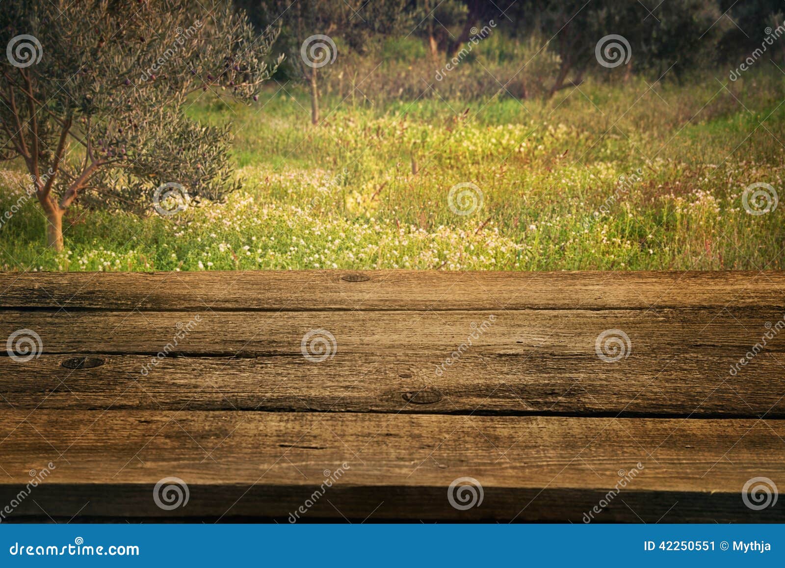 Olive Grove with Wood Table Stock Image - Image of advertise, landscape ...