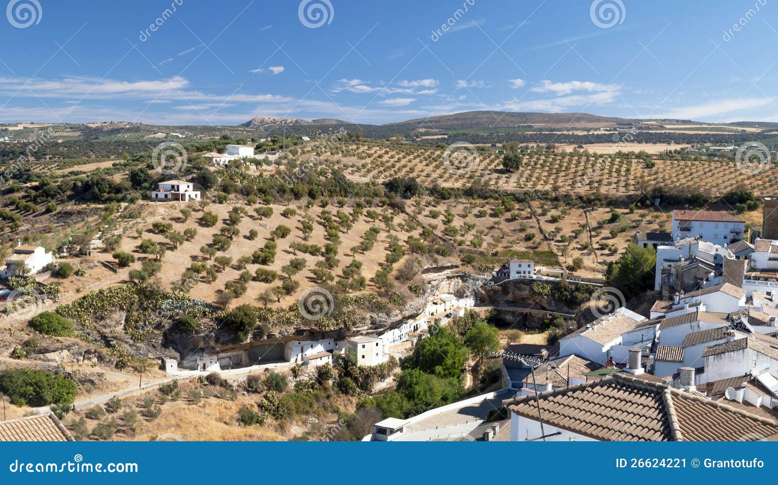 Olive groves of Setenil stock image. Image of ancient - 26624221