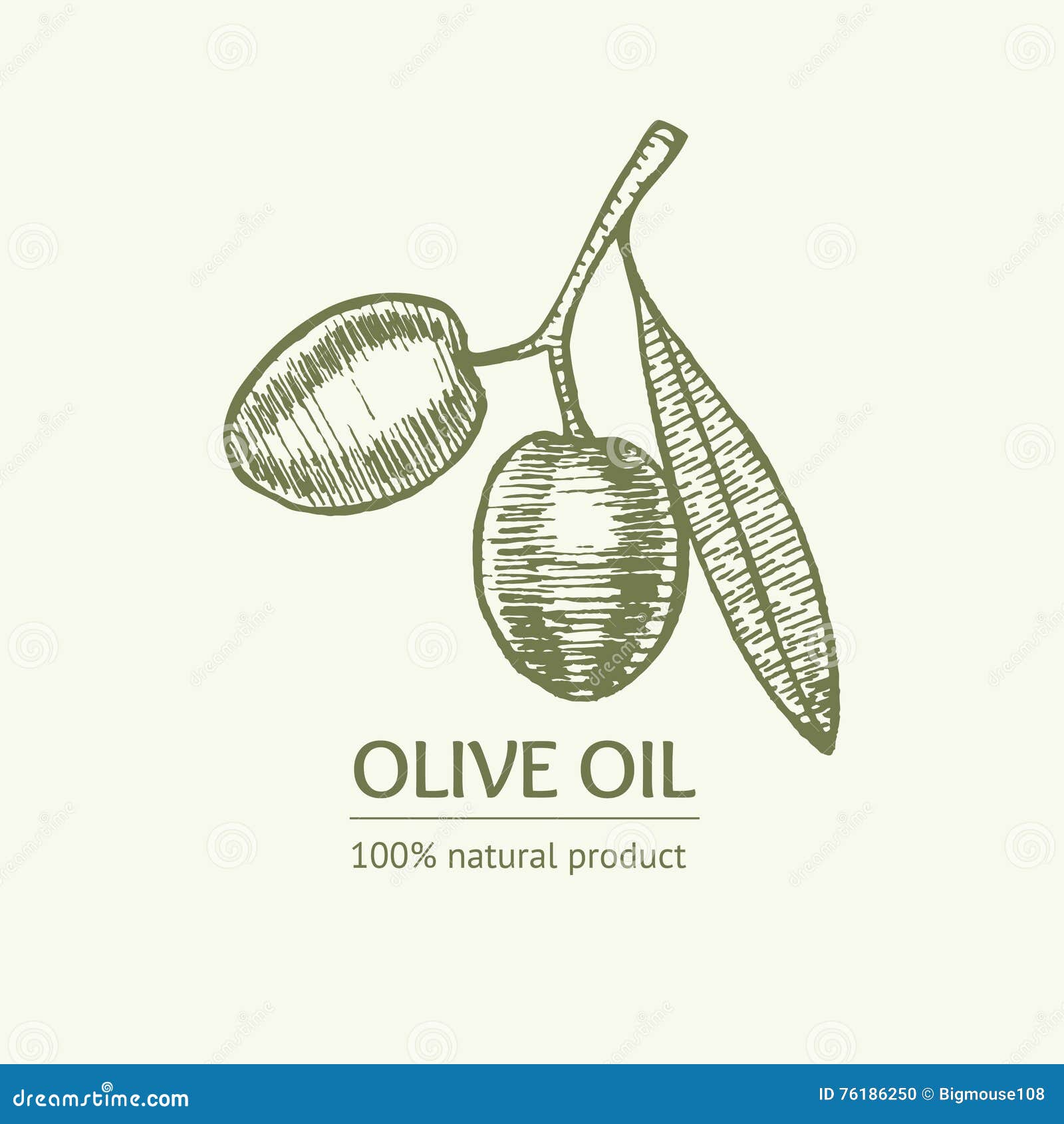 Olive Hand Drawn Watercolor Background Vector Illustration ...