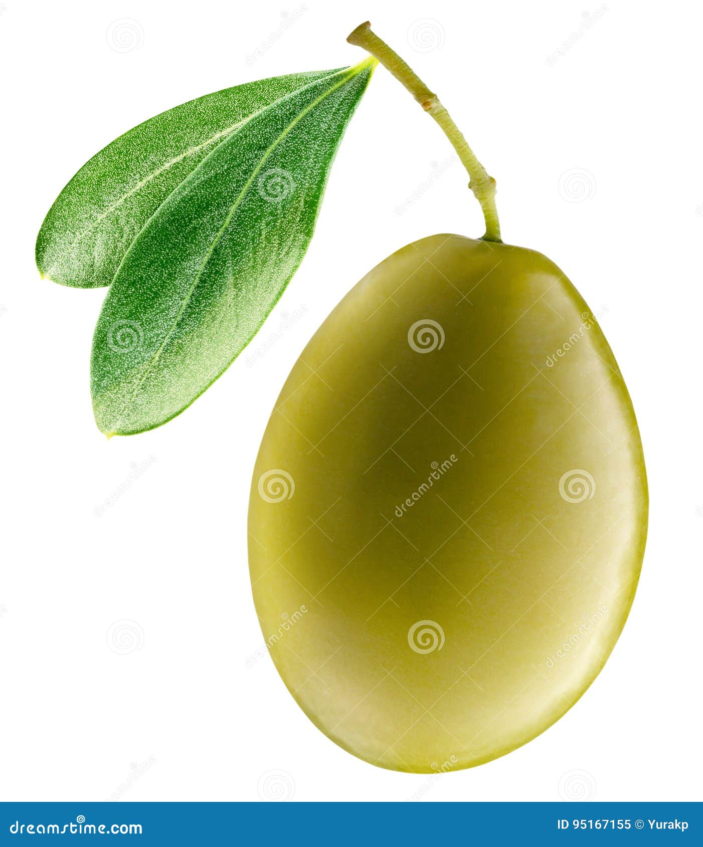 Olive Isolated on a White Background Stock Image - Image of macro ...