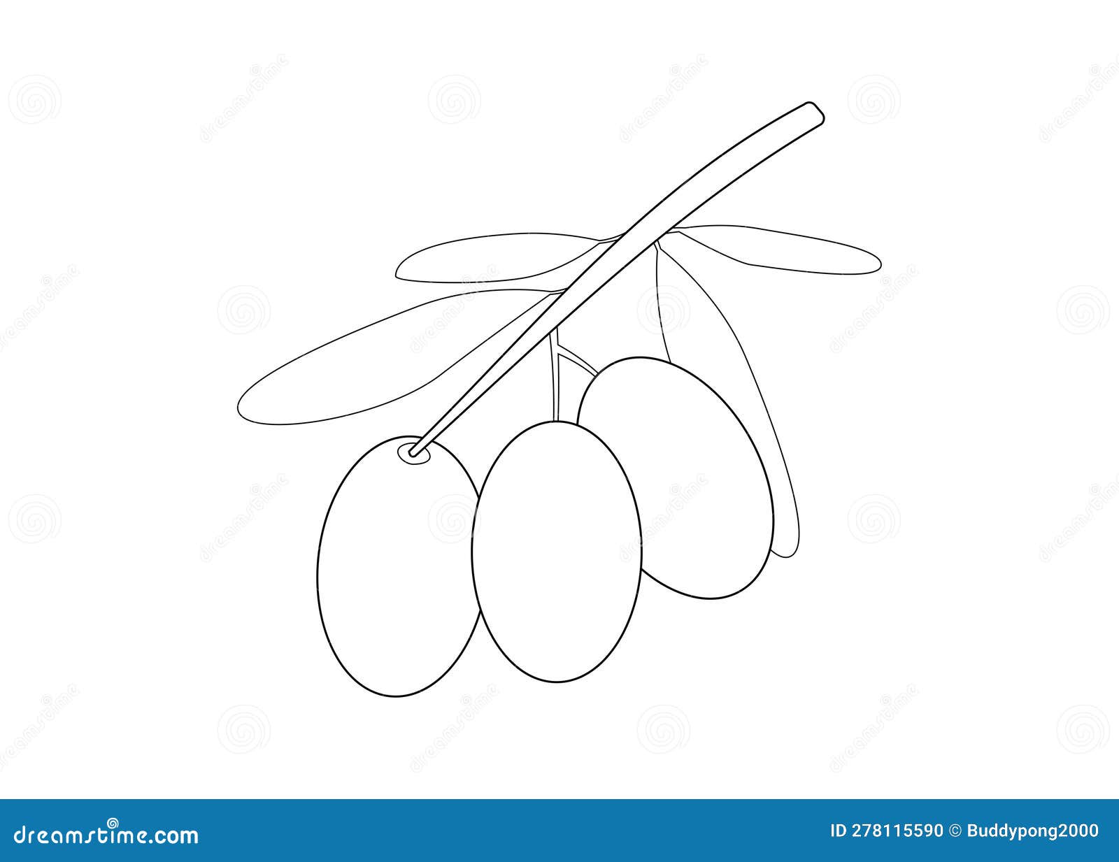 Olive And Leaf Line Art For Kid Coloring Book Icon Cartoon Vector ...