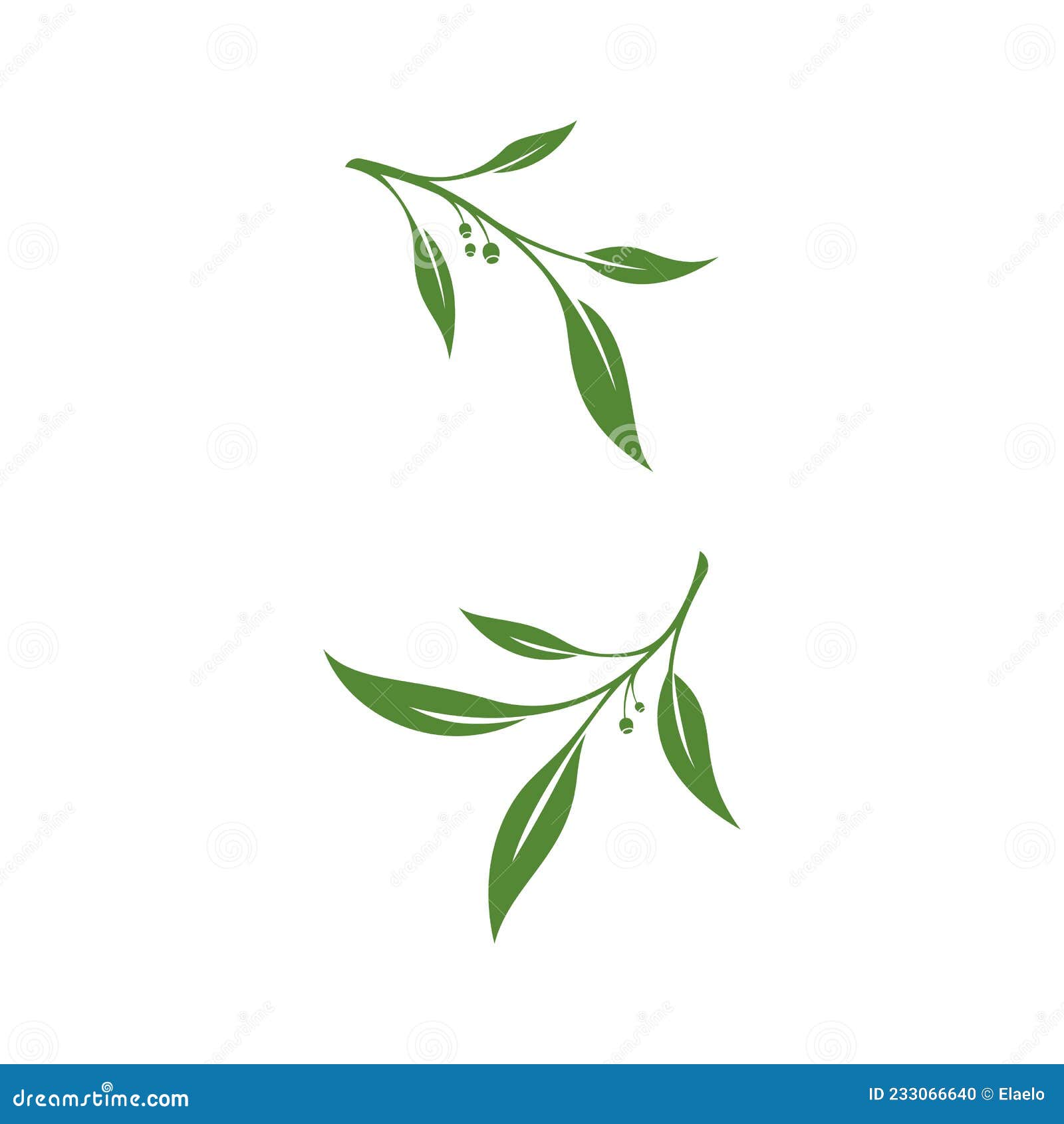 Olive Leaf Vector Illustration Design Stock Vector - Illustration of ...