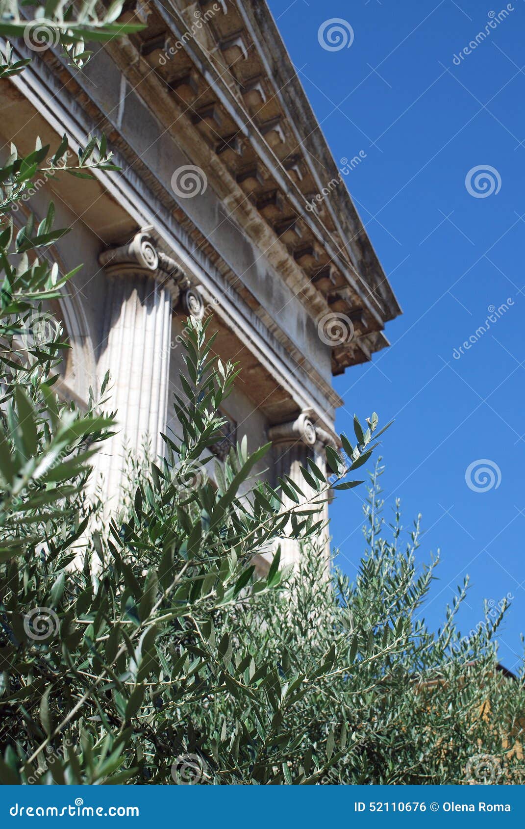 Olive Leaves in Front of Greek Temple Stock Photo - Image of leaf ...