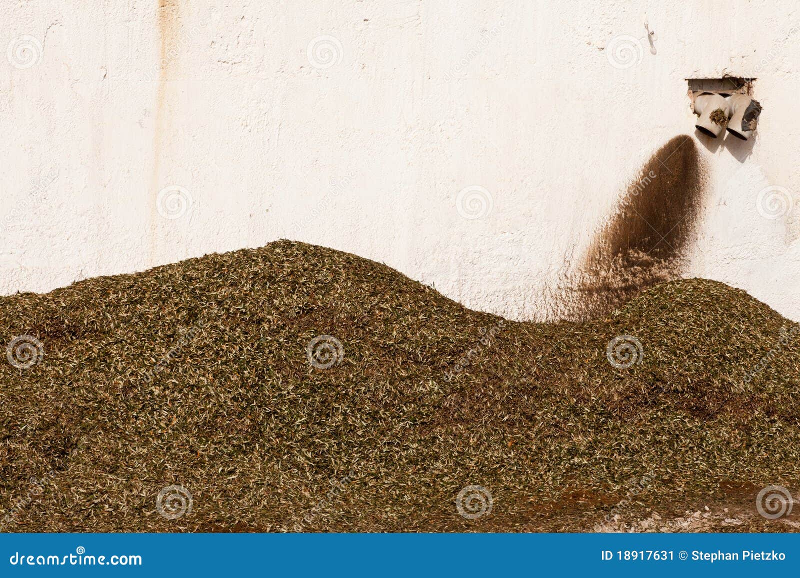 Olive Mill Waste: Olive Leaves Stock Image - Image of mediterranean ...