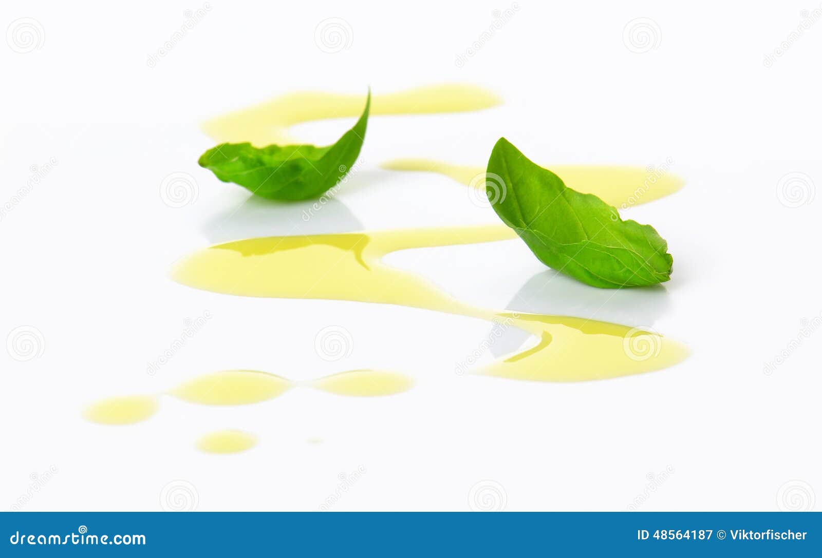 Olive Oil Drizzle and Basil Leaves Stock Image - Image of culinary ...