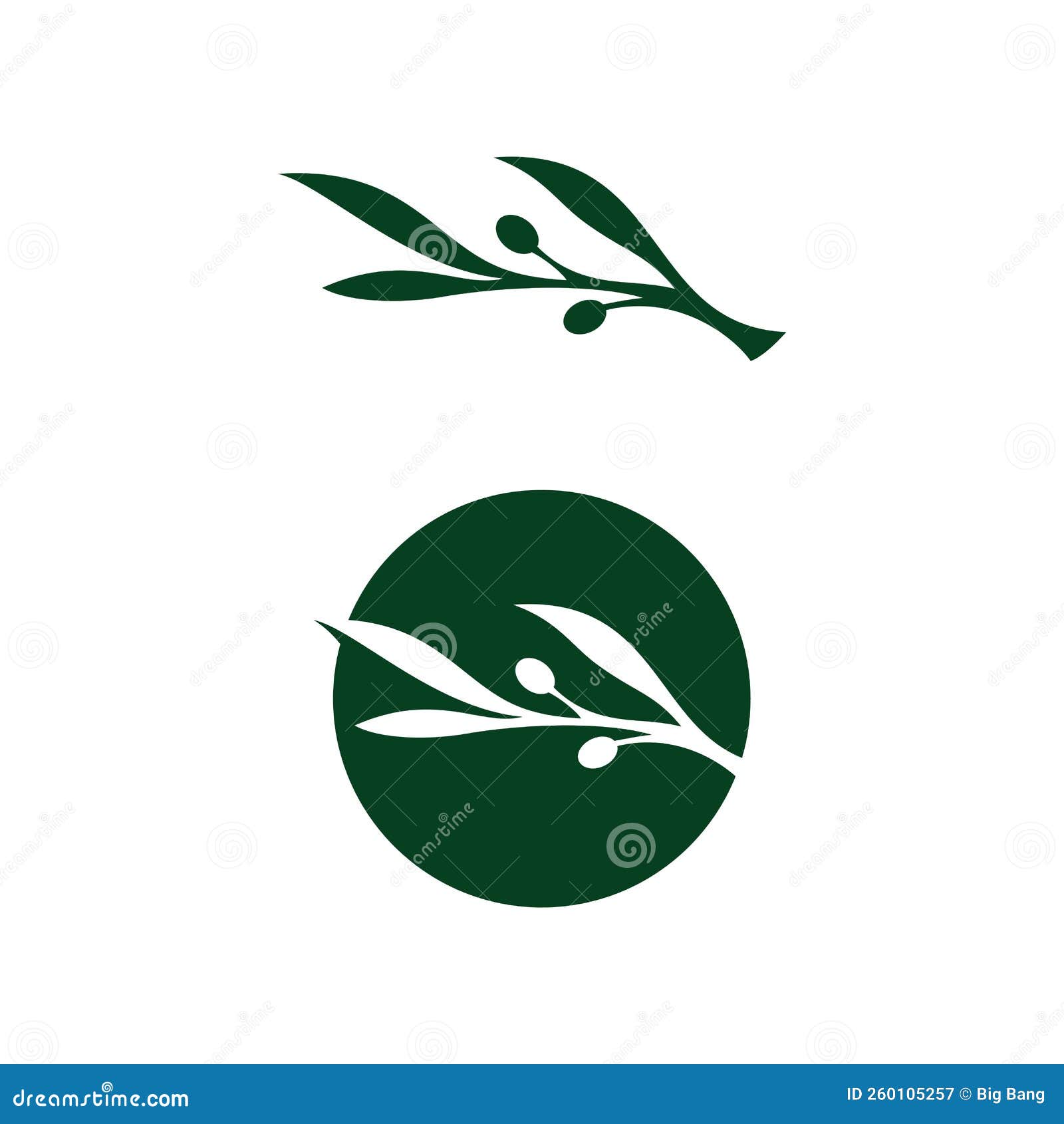 Olive Oil Logo Beauty and Spa Design Template Stock Vector ...