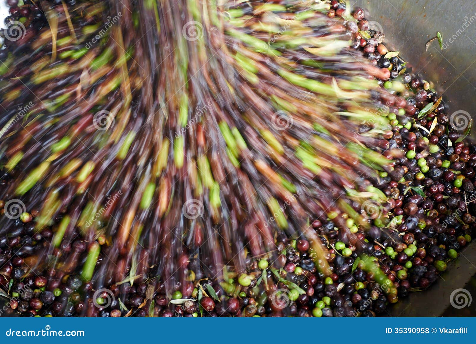 Olive oil press stock photo. Image of adult, liquid, factory - 35390958