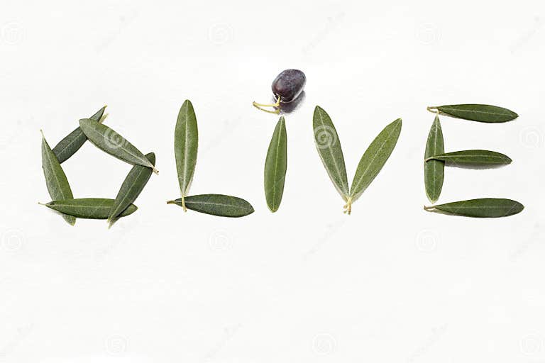Olive and Olive Letters with Leaves Stock Image - Image of embossed ...