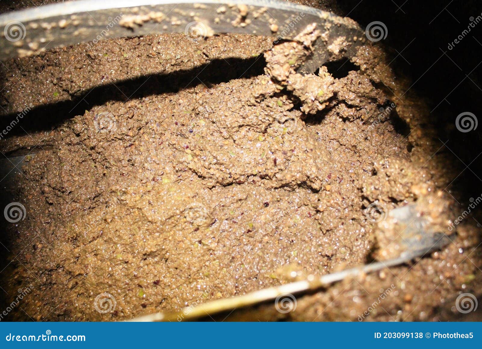 Olive Paste in Malaxation Tank during Extra Virgin Olive Oil Extraction ...