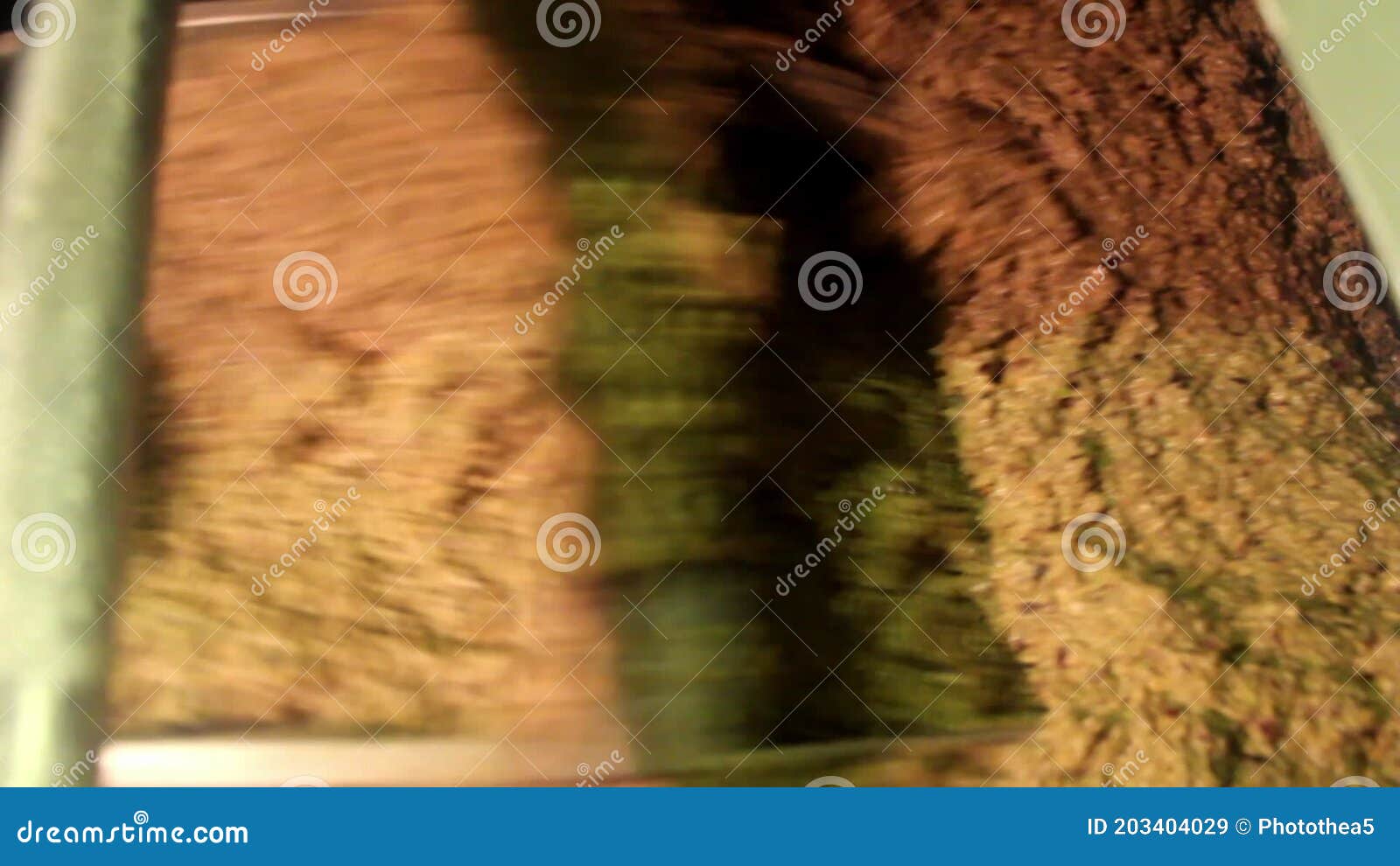 Olive Paste in Malaxation Tank during Extra Virgin Olive Oil Extraction ...