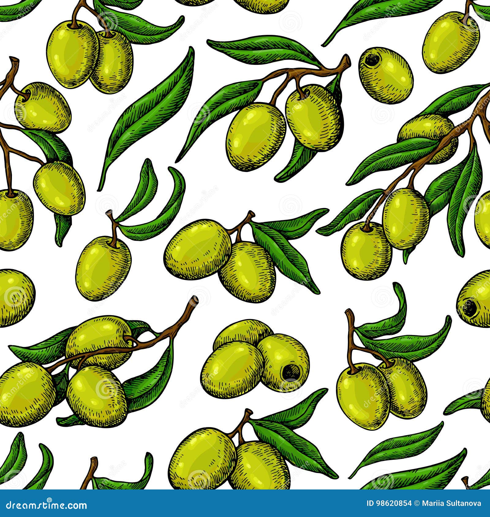 Olive Seamless Pattern. Hand Drawn Vector Background with Branch of ...