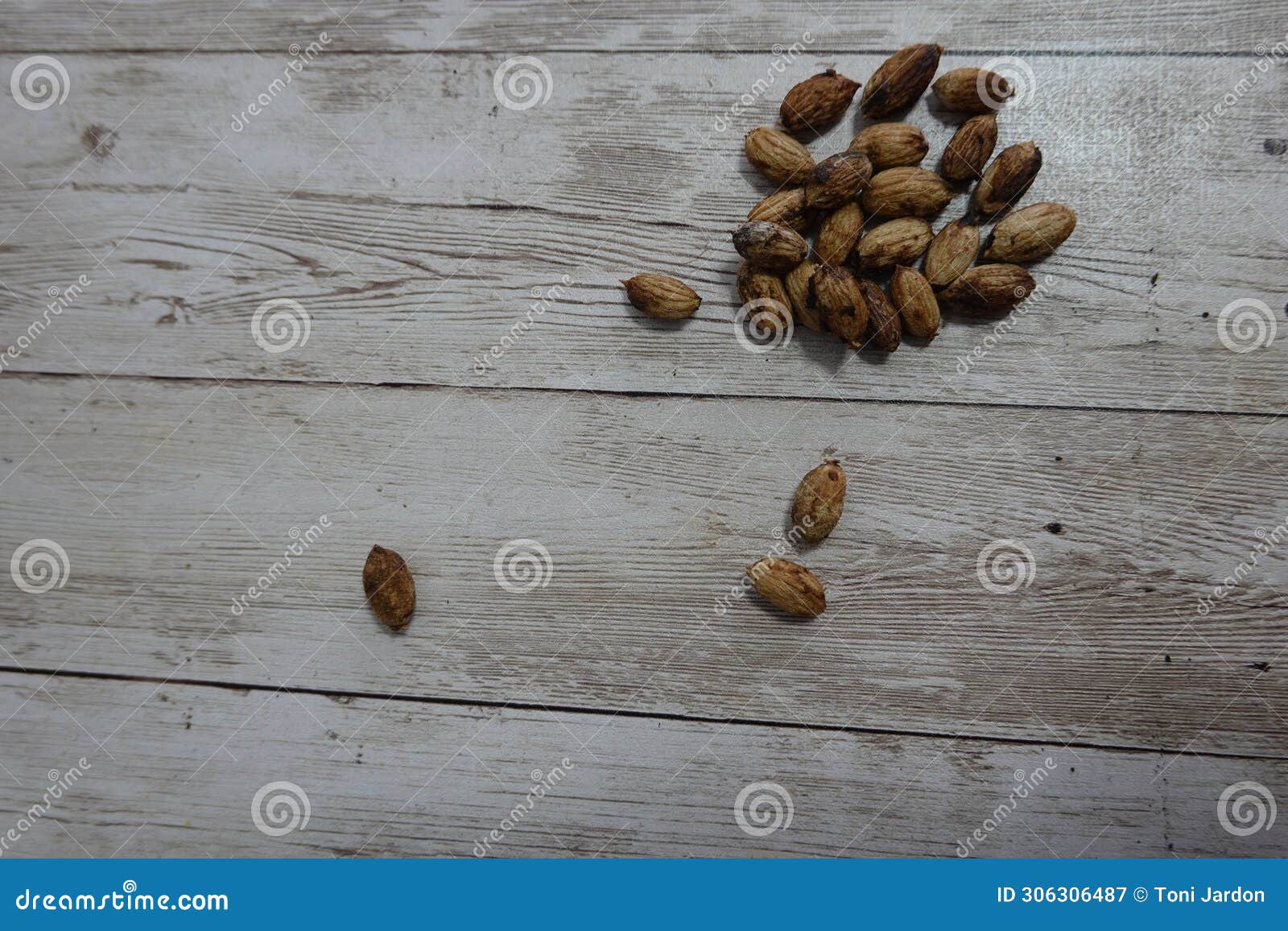 Olive Seeds for Olive Tree Germination, Olive Pits for Sprouting Stock ...