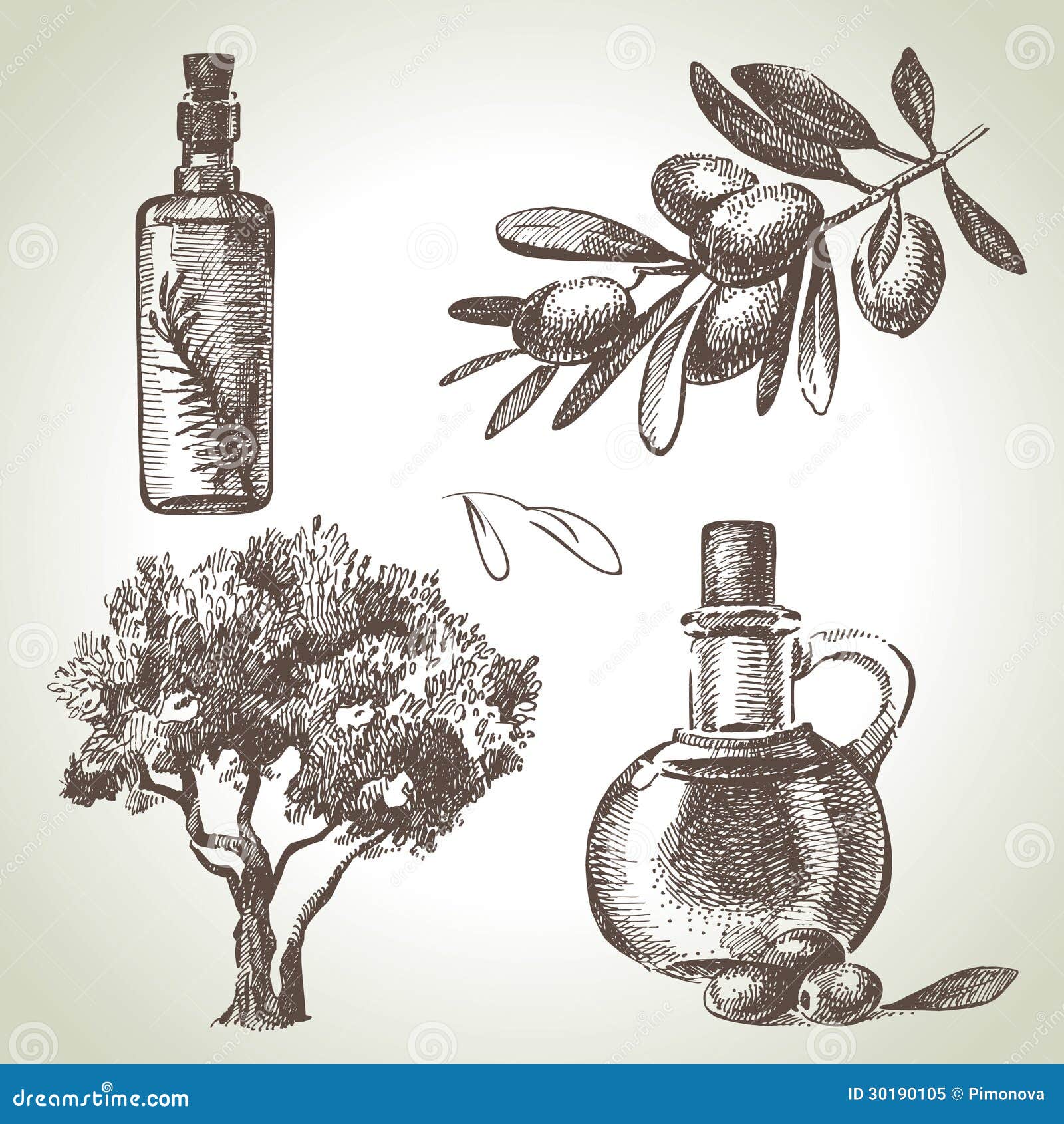 Hand drawn olive set stock vector. Illustration of leaf - 30190105