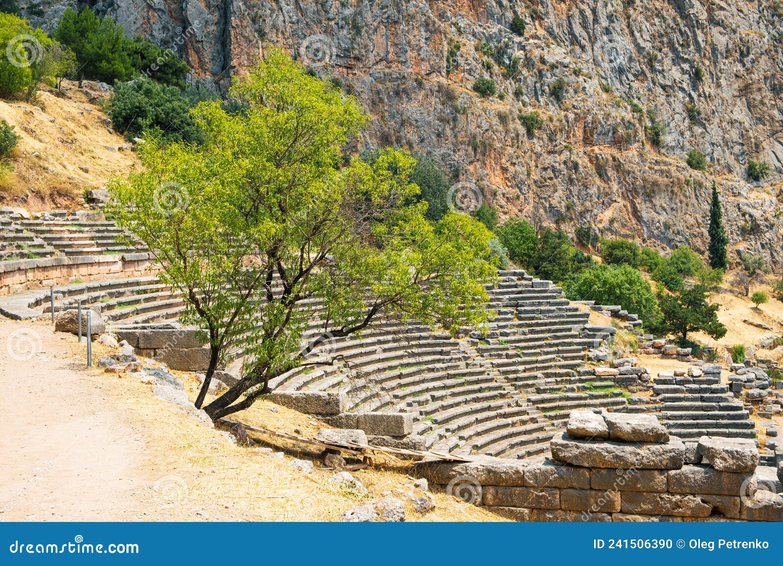 Olive Tree Against Backdrop of Ancient Amphitheater Stock Photo - Image ...