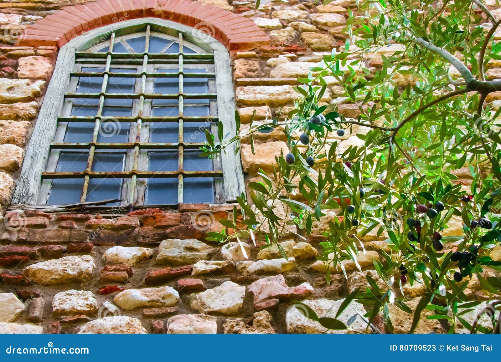 Olive Tree Branch Outside Stone House Window Stock Image - Image of ...